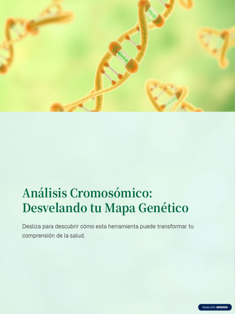 Analisis Cromosomico Desvelando Tu Mapa Genetico | PDF | Cromosoma ...