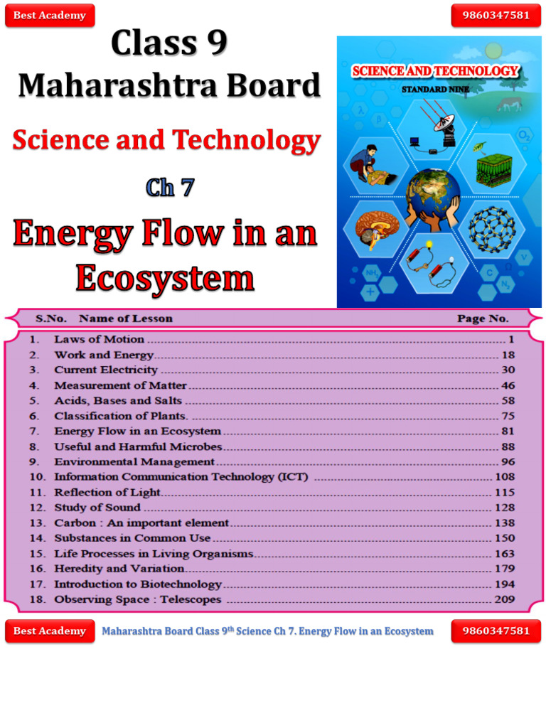 Class 9 CH 7 Energy Flow in An Ecosystem | PDF | Ecosystem | Food Web