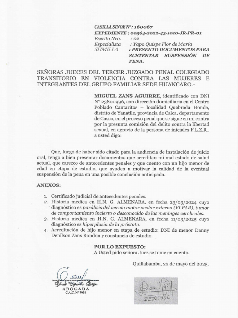 Escrito Presenta Documentos | PDF