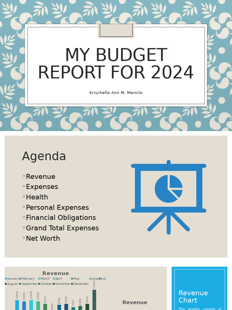 2024 Budget Report Overview | PDF | Financial Accounting | Currency