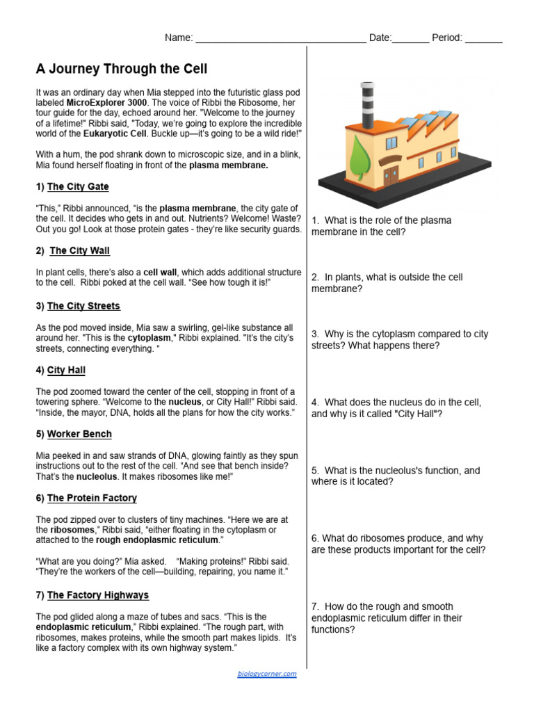 A Journey Through The Cell | PDF | Cell (Biology) | Endoplasmic Reticulum