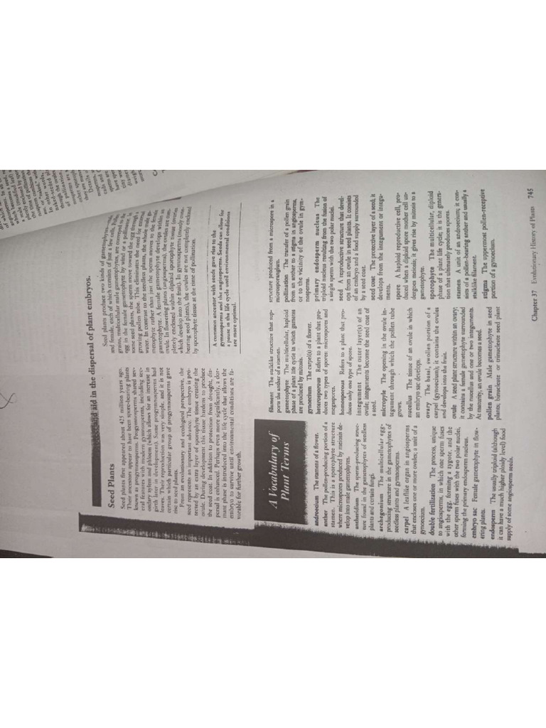 Gymnosperms and Angiosperms | PDF