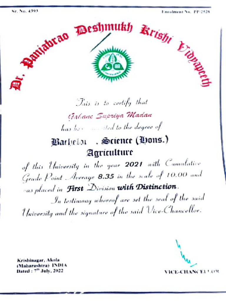 BSc. Degree | PDF