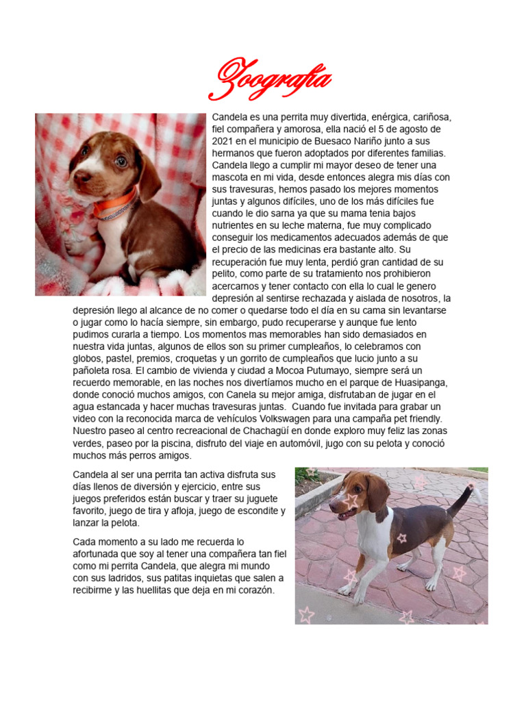 Zoografía de Candela, mi perrita | PDF