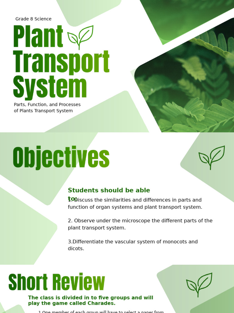 Plant Transport System Presentation in Green Gradient Style | PDF ...