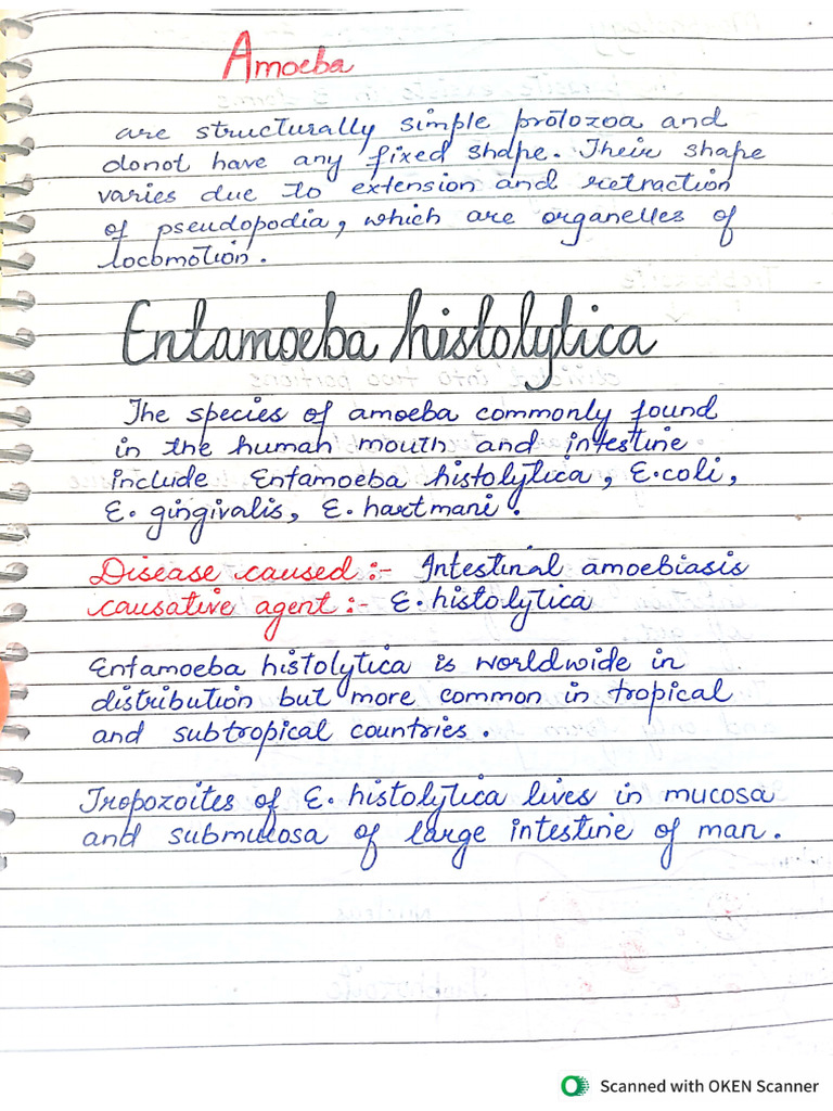 Entamoeba Histolytica | PDF