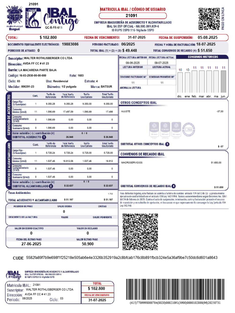 Financial Summary for Walter Rothlisberger | PDF