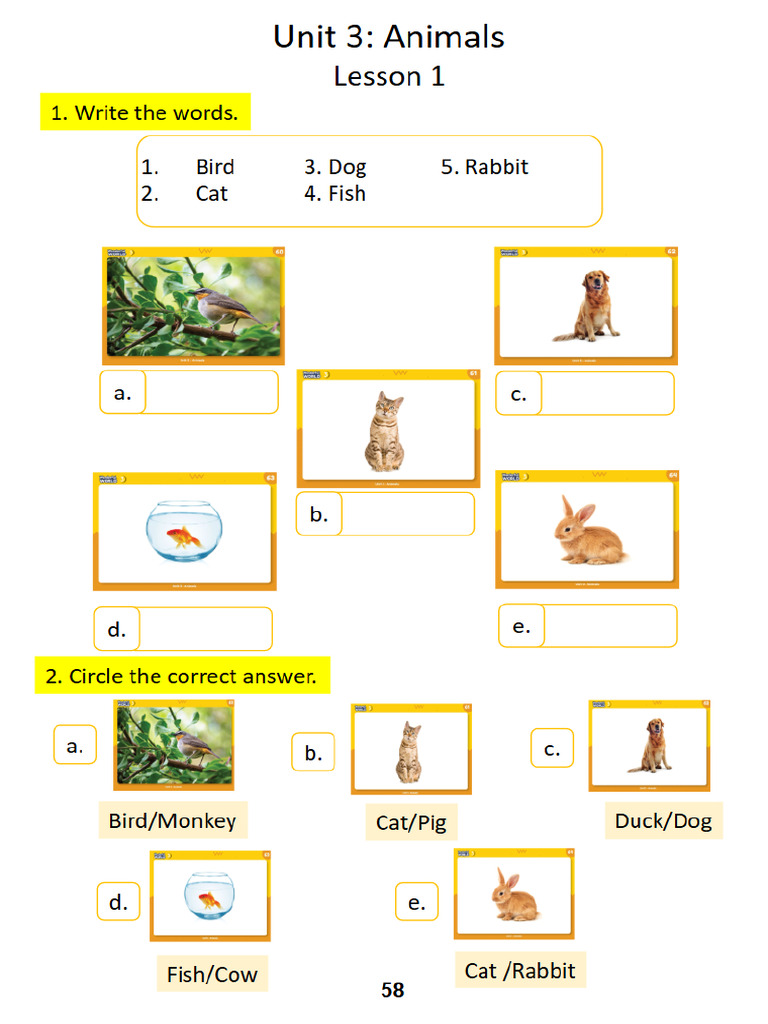 Unit 3 - Animals | PDF