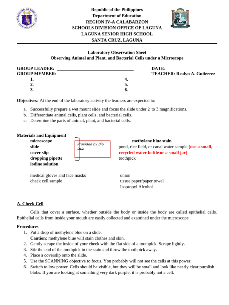 Lab Activity Cheeck Cell Onion Bacterial Cell | PDF | Cell (Biology ...