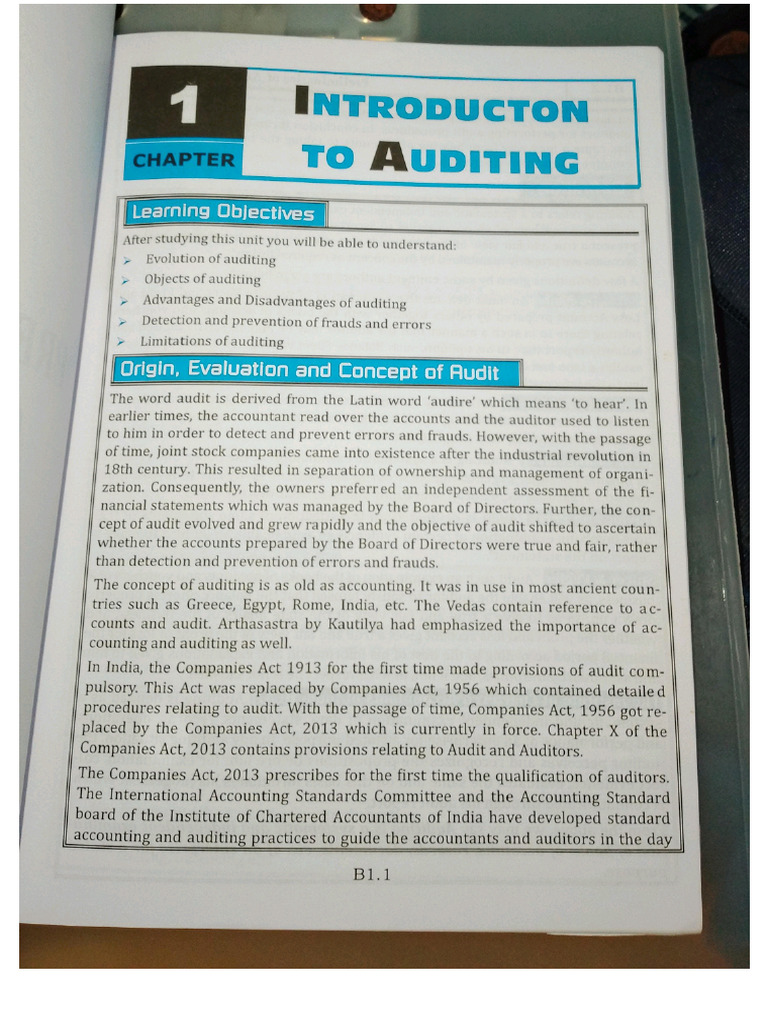 Auditing Chapter 1 | PDF