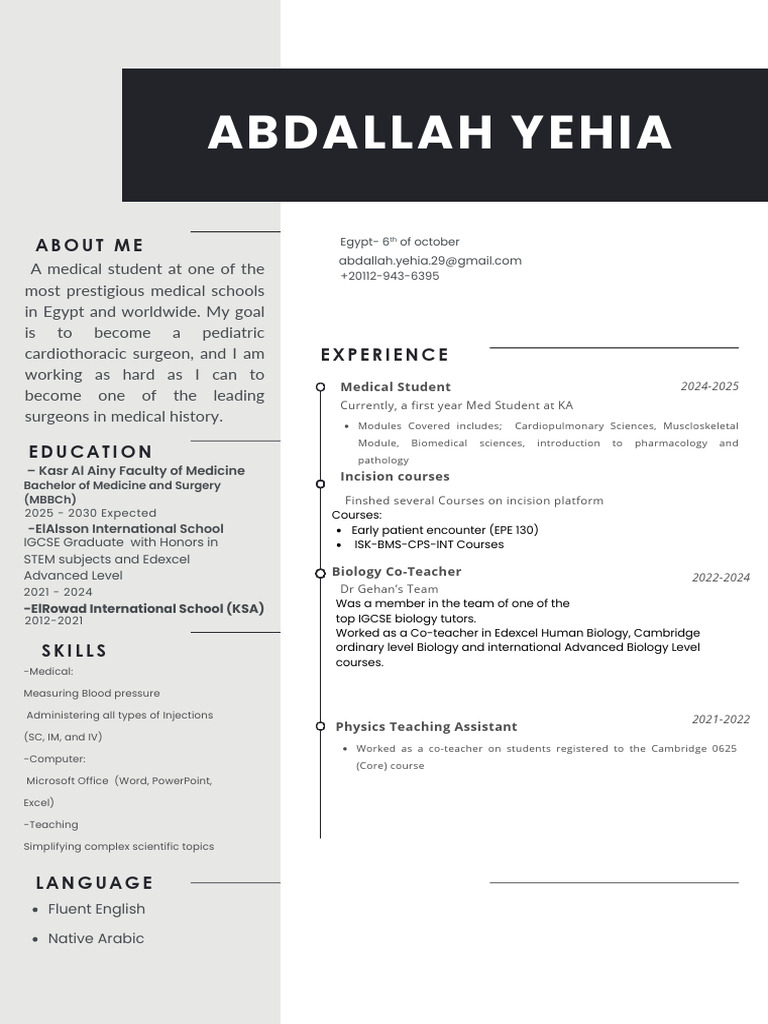 Professional Modern CV Resume | PDF