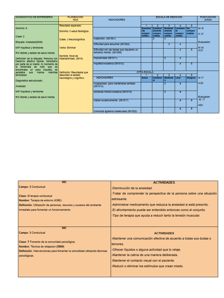 Ejemplo de Formato Pae | PDF | Ansiedad | Salud mental