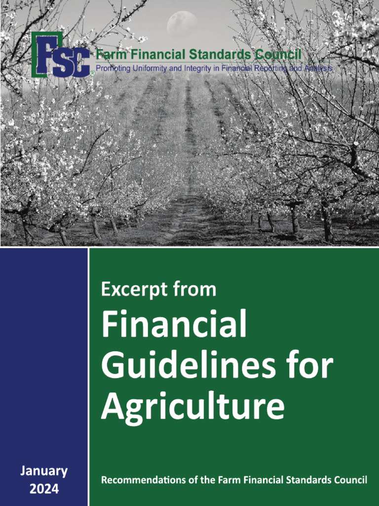 FFSC Financial Guidelines Overview | PDF | Generally Accepted ...