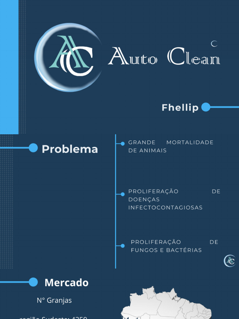 AutoClean PDF | PDF