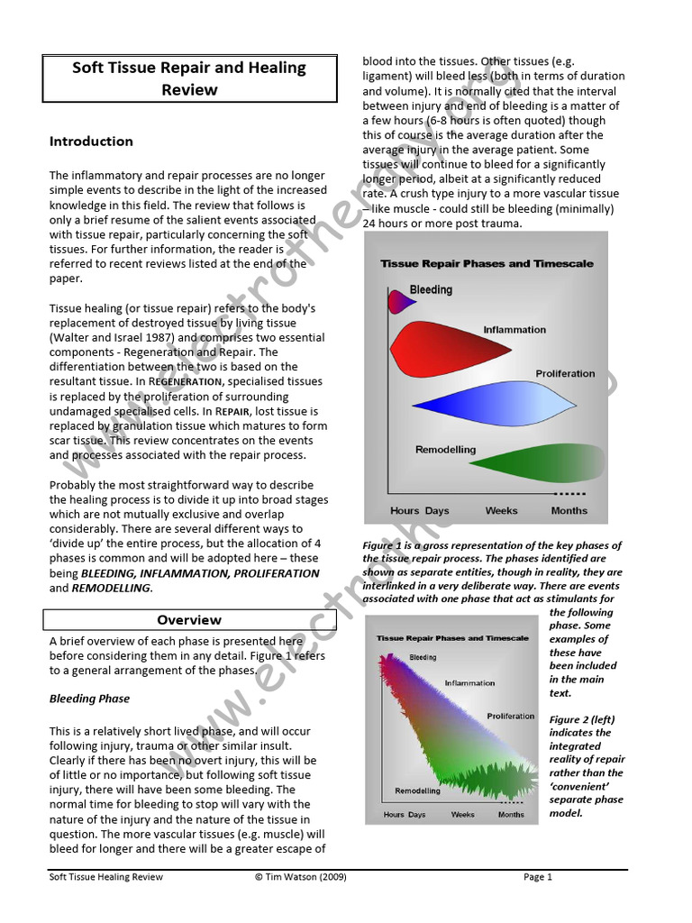 Soft Tissue Repair Stages Explained | PDF | Inflammation | Wound Healing