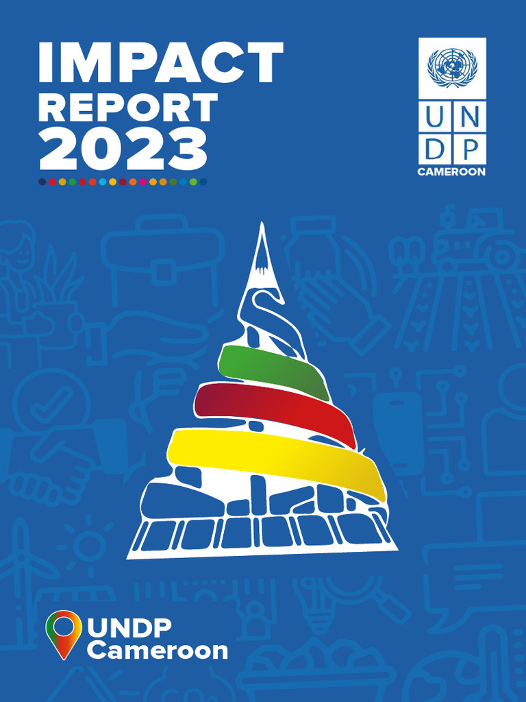 UNDP Cameroon 2023 Impact Overview | PDF | Cost Of Living | United ...