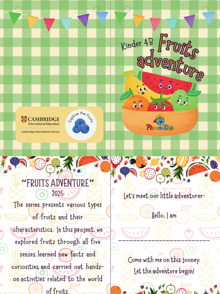 World Traveler Passport Worksheet in Green Illustrated Style | PDF ...