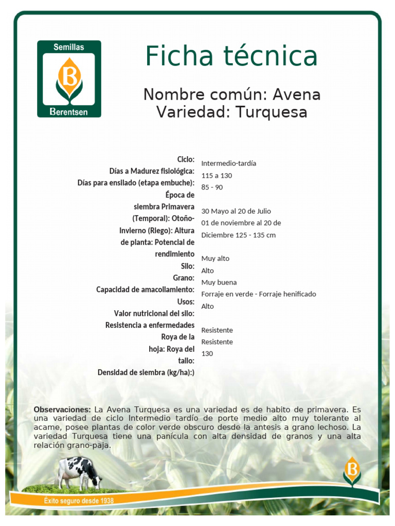 Ficha Turquesa | PDF