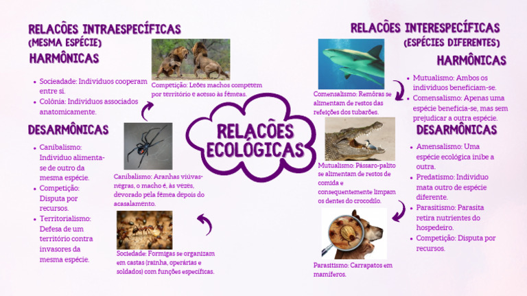 Relações Ecológicas: Harmônicas e Desarmônicas | PDF | Interações ...