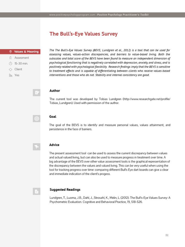 The Bulls Eye Values Survey | PDF | Positive Psychology | Personal ...