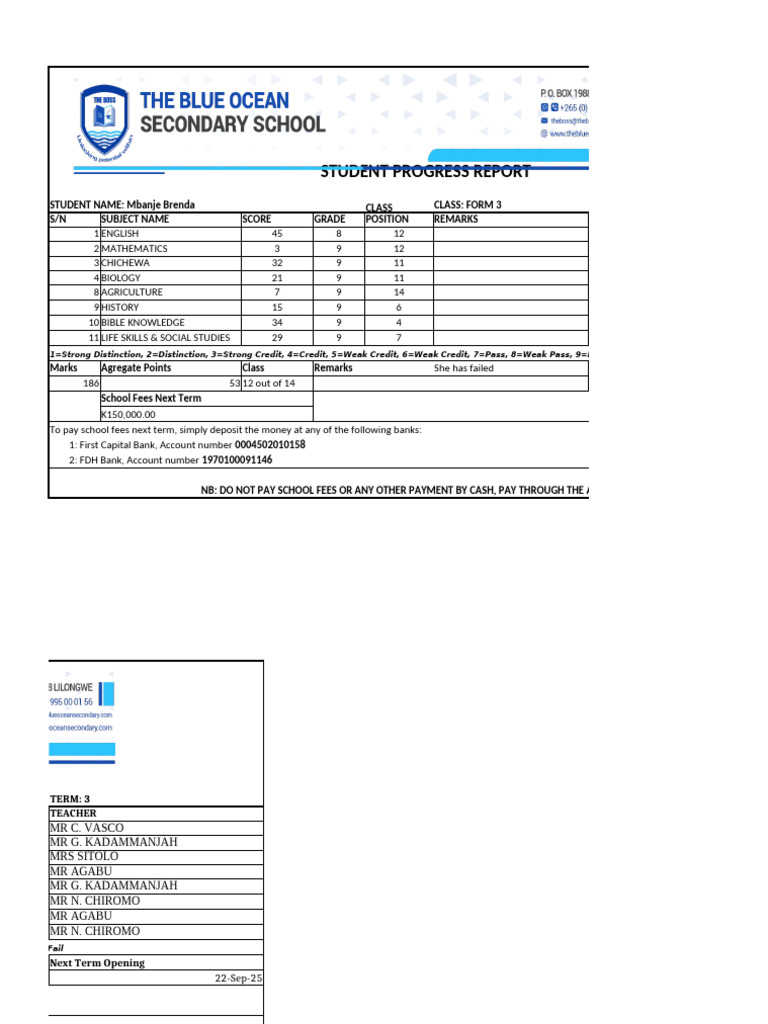 Mbanje Brenda's Progress Report | PDF
