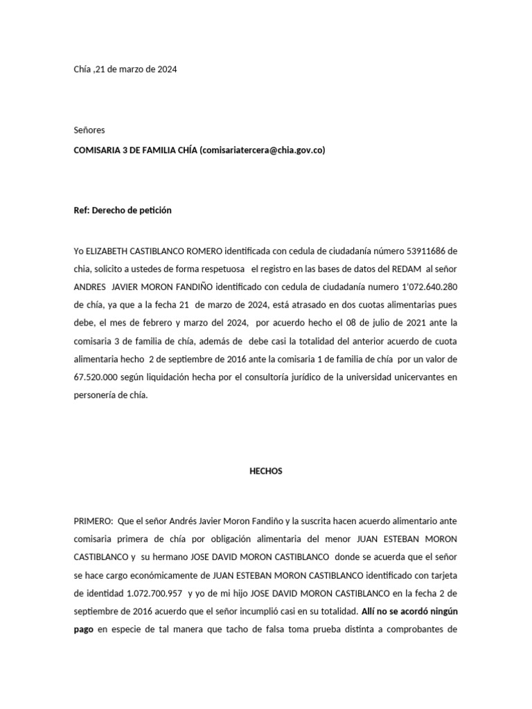 Derecho de Peticion Comisaria 2024 | PDF