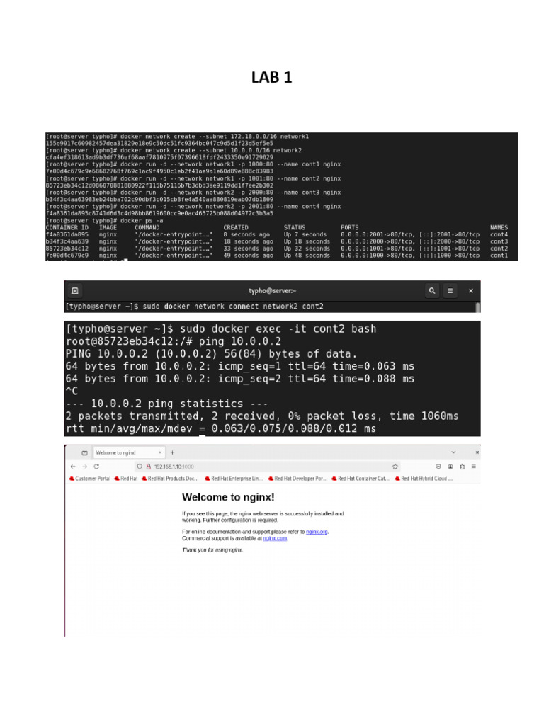 LAB 1 Docker | PDF