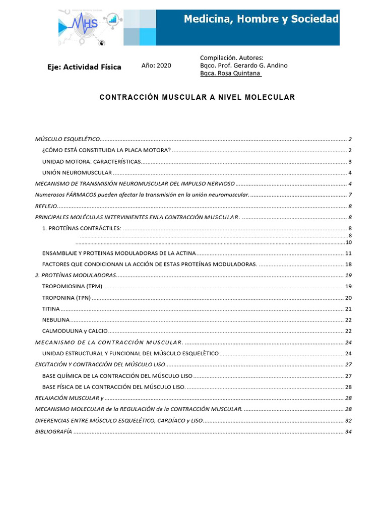 Clase 03-Andino, G., Quintana, Rosa (2020) - Contracción Muscular A ...