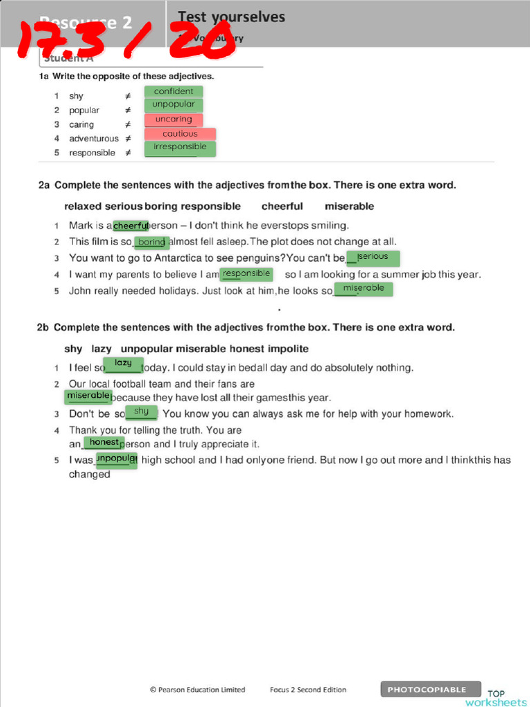 Adjectives of personality (Focus 2) | PDF