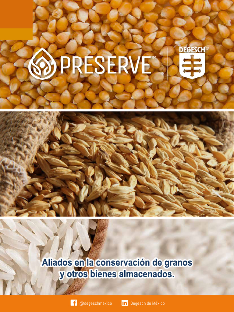 Soluciones Degesch para Conservación de Granos | PDF | Tableta (Farmacia)