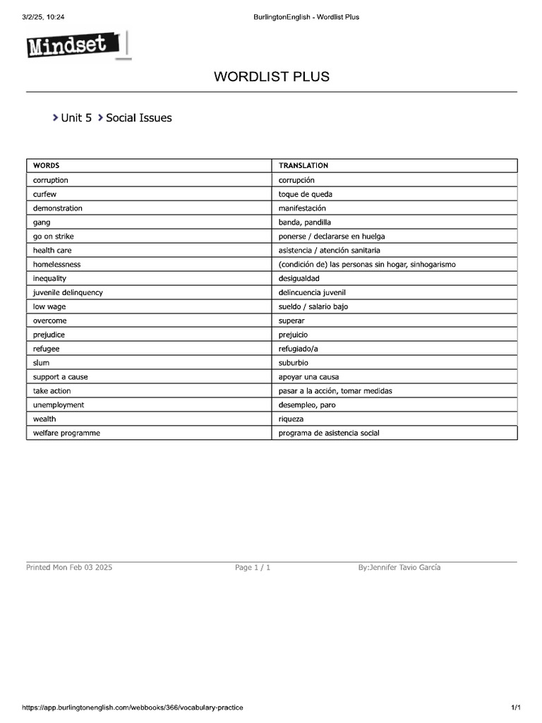 Unit 5. Social Issues | PDF