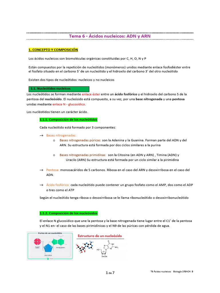 Tema 6 - Ácidos Nucleicos ADN y ARN | PDF | Nucleótidos | Adn