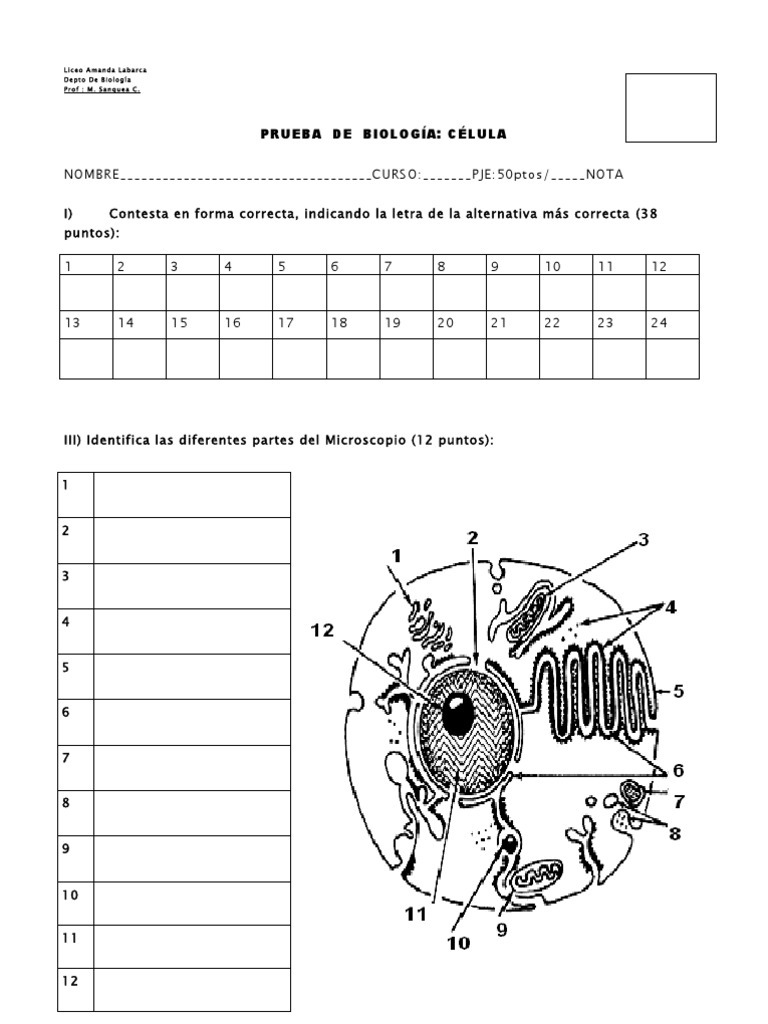 Prueba 1 Celula