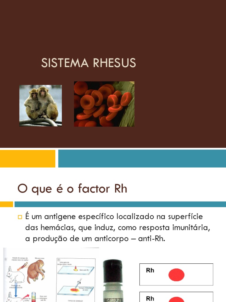 Sistema Rhesus | PDF | Casa e Jardim | Ciências e Matemática