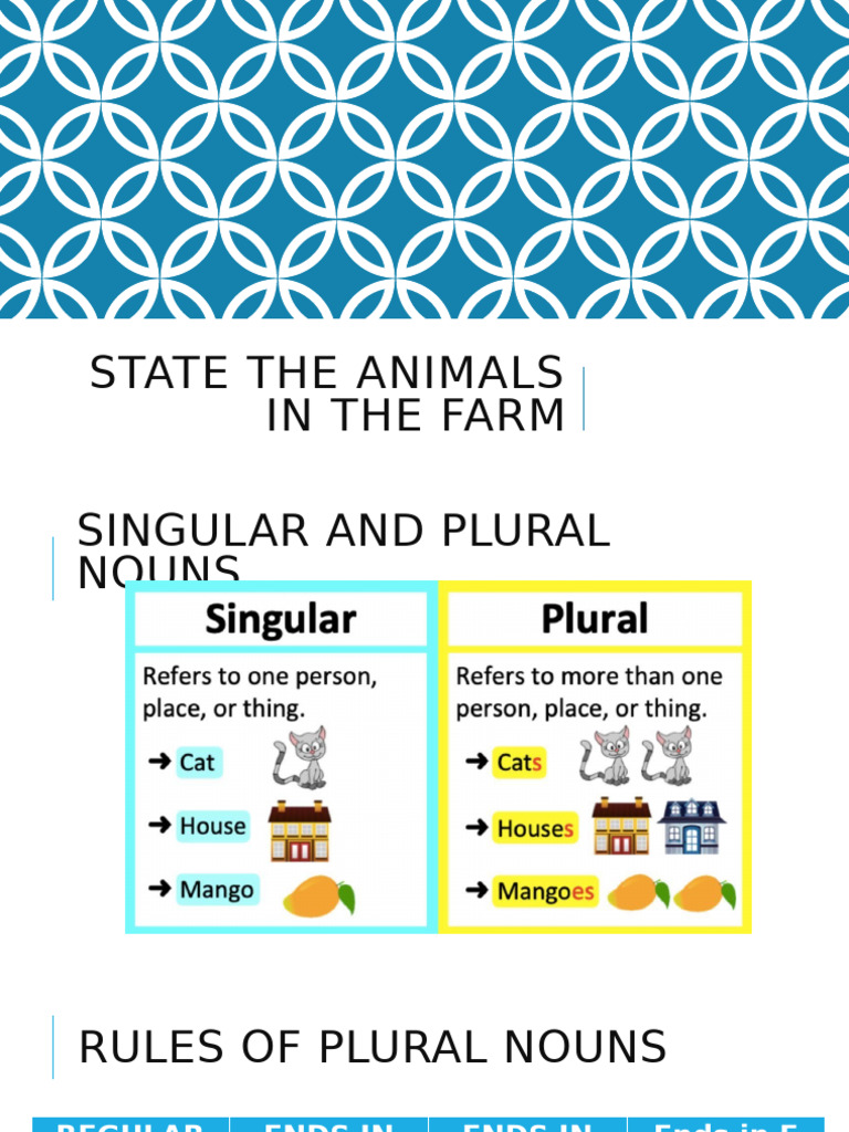 Slide Show Singular Plural | PDF