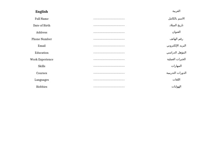 Rami CV Template | PDF