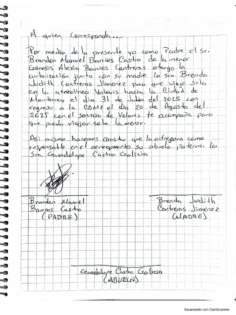 Carta de Permiso Alexia Barrios | PDF