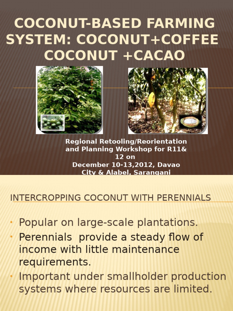 Coconut - Cropping Models - Retooling | PDF | Coffee | Drink