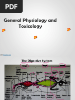 Insect Digestive System Overview | PDF | Protease | Polysaccharide