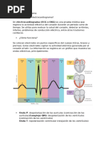 Componentes del Electrocardiograma | PDF | Electrocardiografia ...