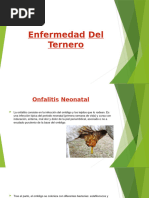 Onfalitis Neonatal: Diagnóstico y Tratamiento | PDF | Septicemia ...