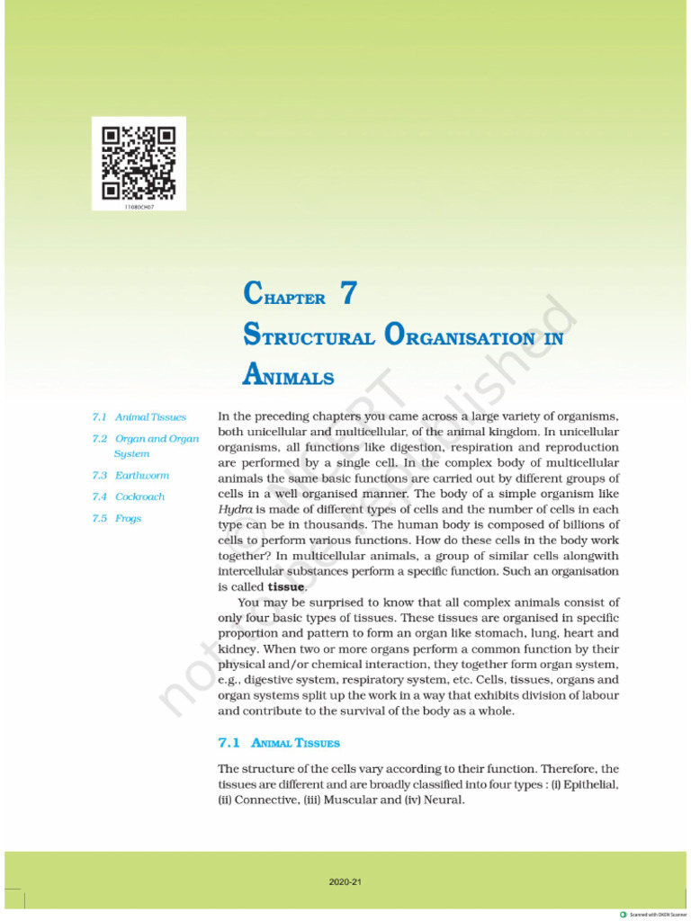 Structural Organisation Ncert Old | PDF