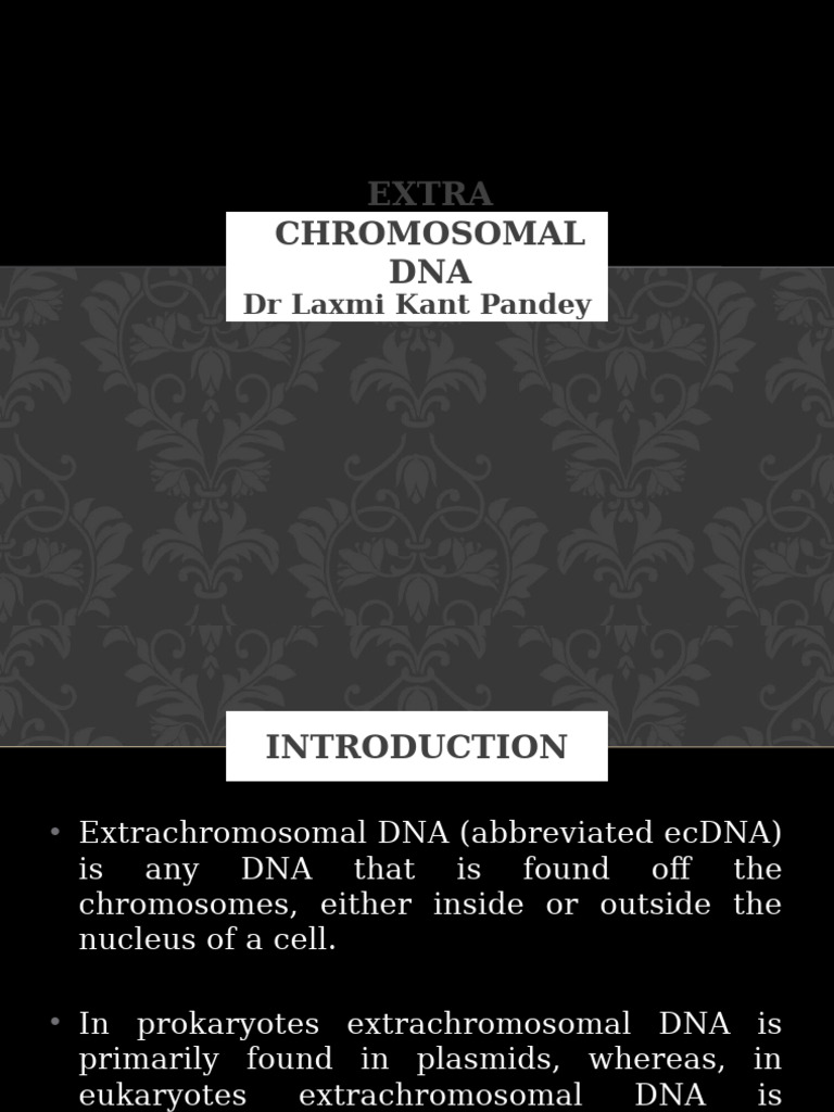 Extrachromosomal DNA | PDF | Mitochondrial Dna | Dna