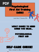 SAFER Revised Model | PDF
