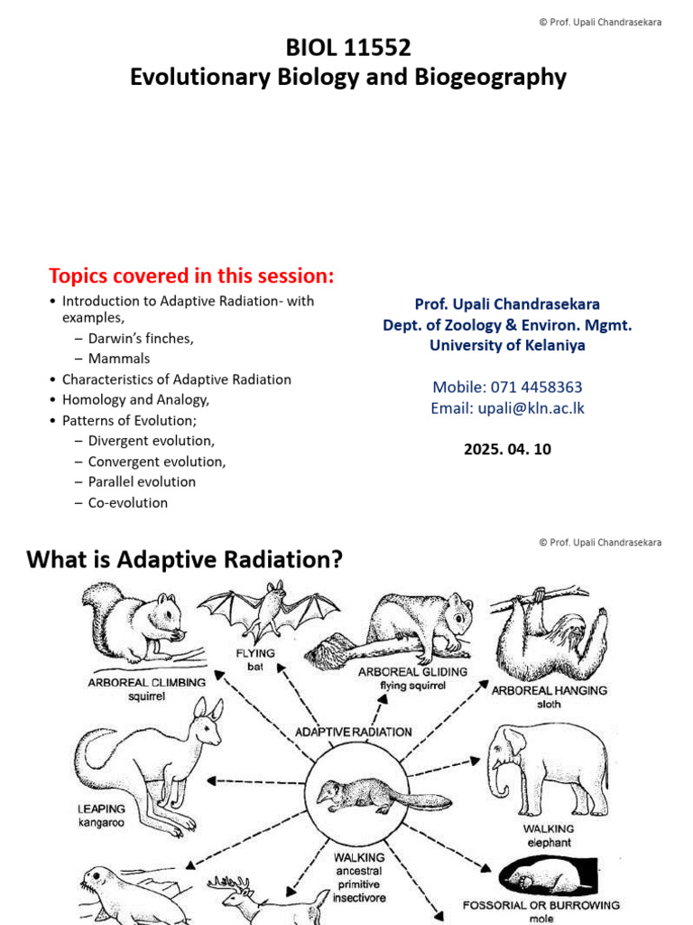 Session 06-Adaptive Radiation-Slide Show | PDF | Homology (Biology ...