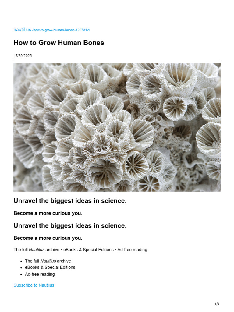 Nautil - Us-How To Grow Human Bones | PDF | Bone | Coral
