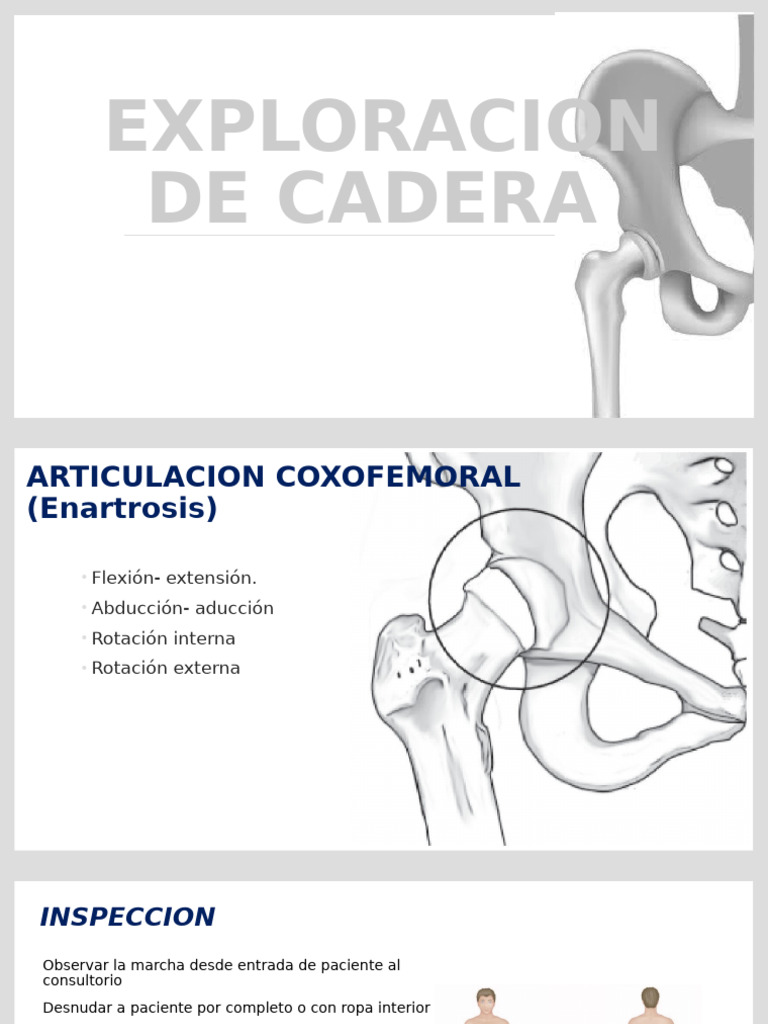 Exploración Física de Cadera y Pelvis | PDF | Rodilla | Pelvis