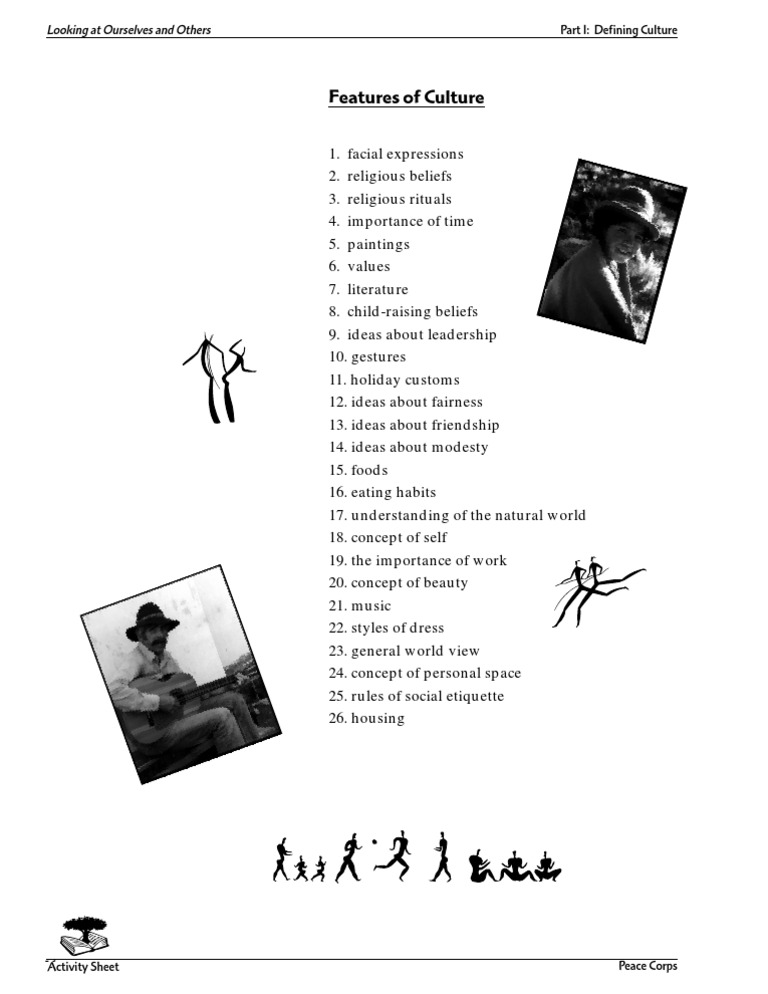 Understanding Cultural Features and Values | PDF