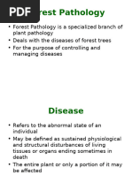 Endophytic vs Exophytic Tumors Explained | PDF