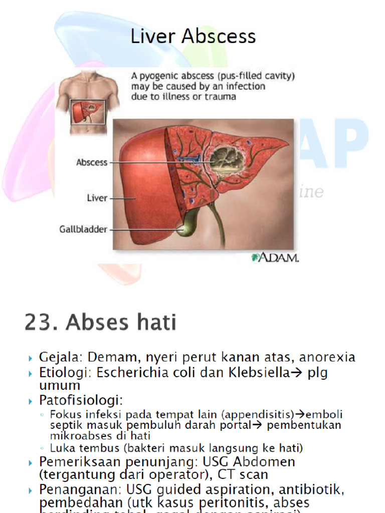Abses Hepar | PDF